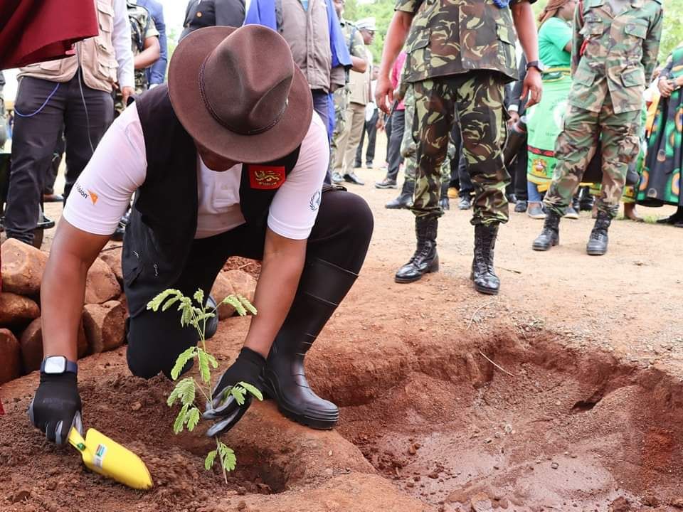 Chakwera launches 2024 national tree planting season - Malawiana Times