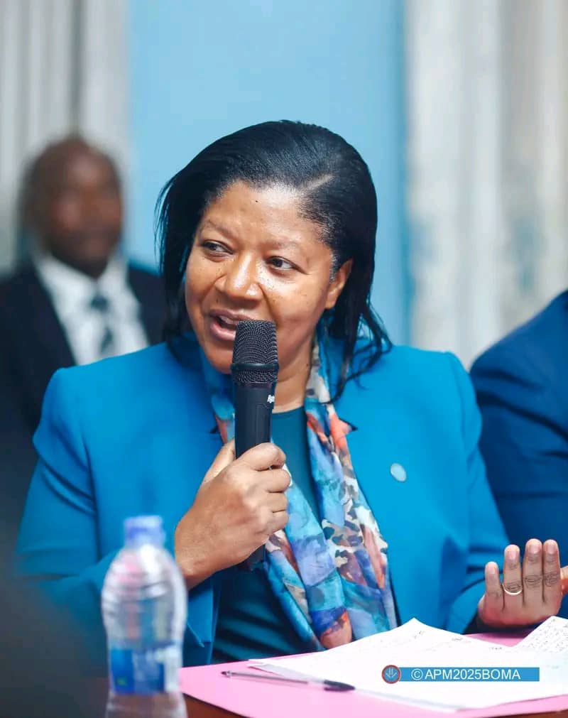 DPP’s Jean Mathanga accuses MEC of bias and technological failures ...